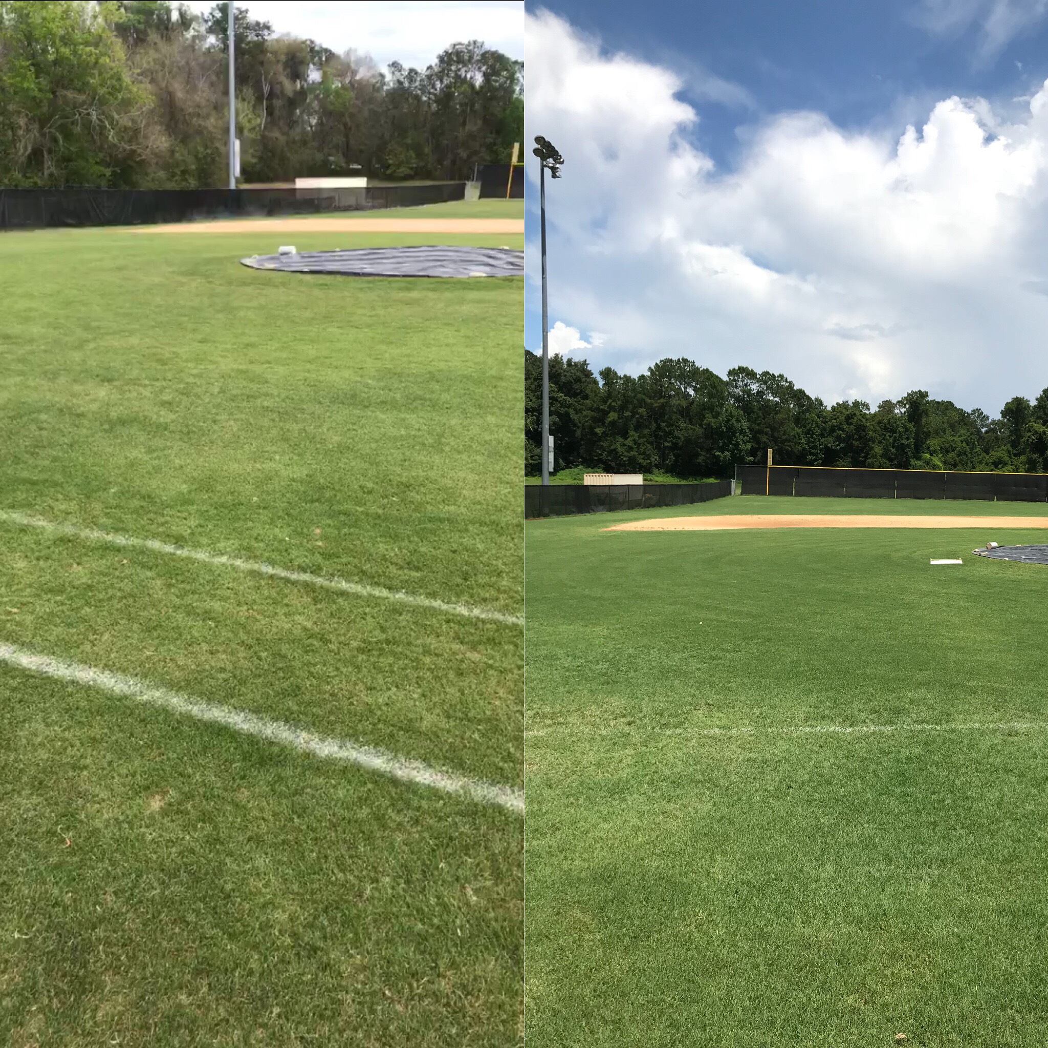 Baseball Field before and after 1 fertilization | The Masters Lawn Care