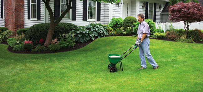 Gainesville Lawn Care Tips for the Fall | The Masters Lawn Care